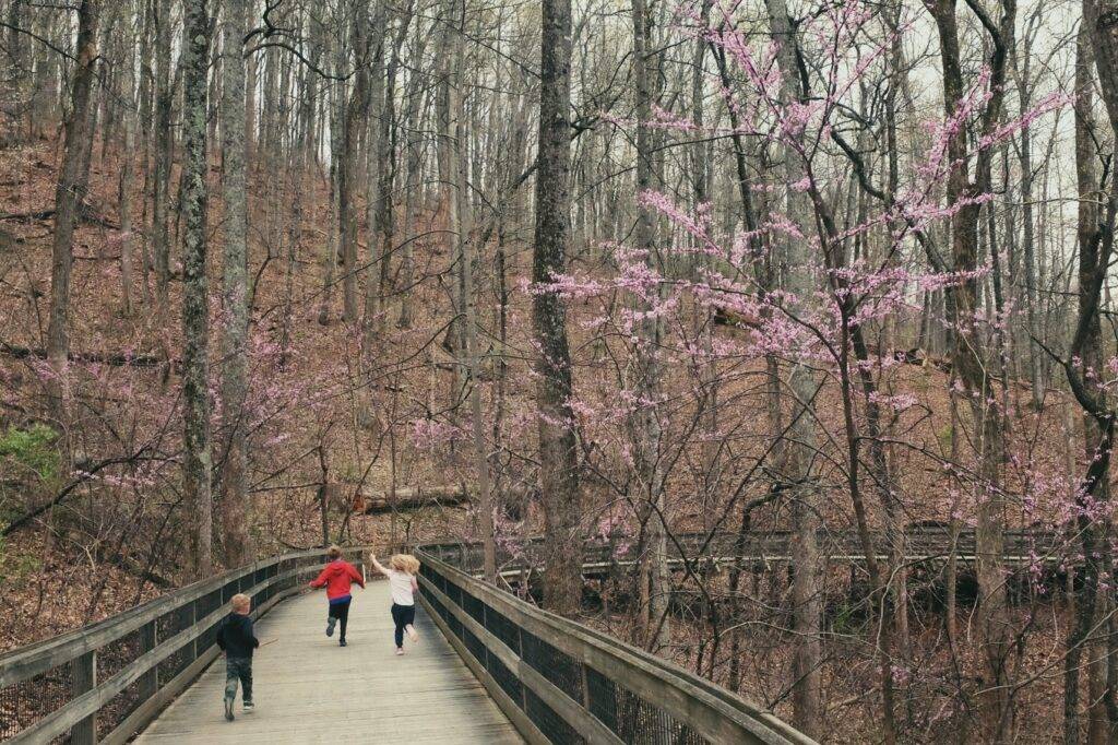 Greenways that I know: The Saunders-Monticello Trail - Triangle Blog Blog