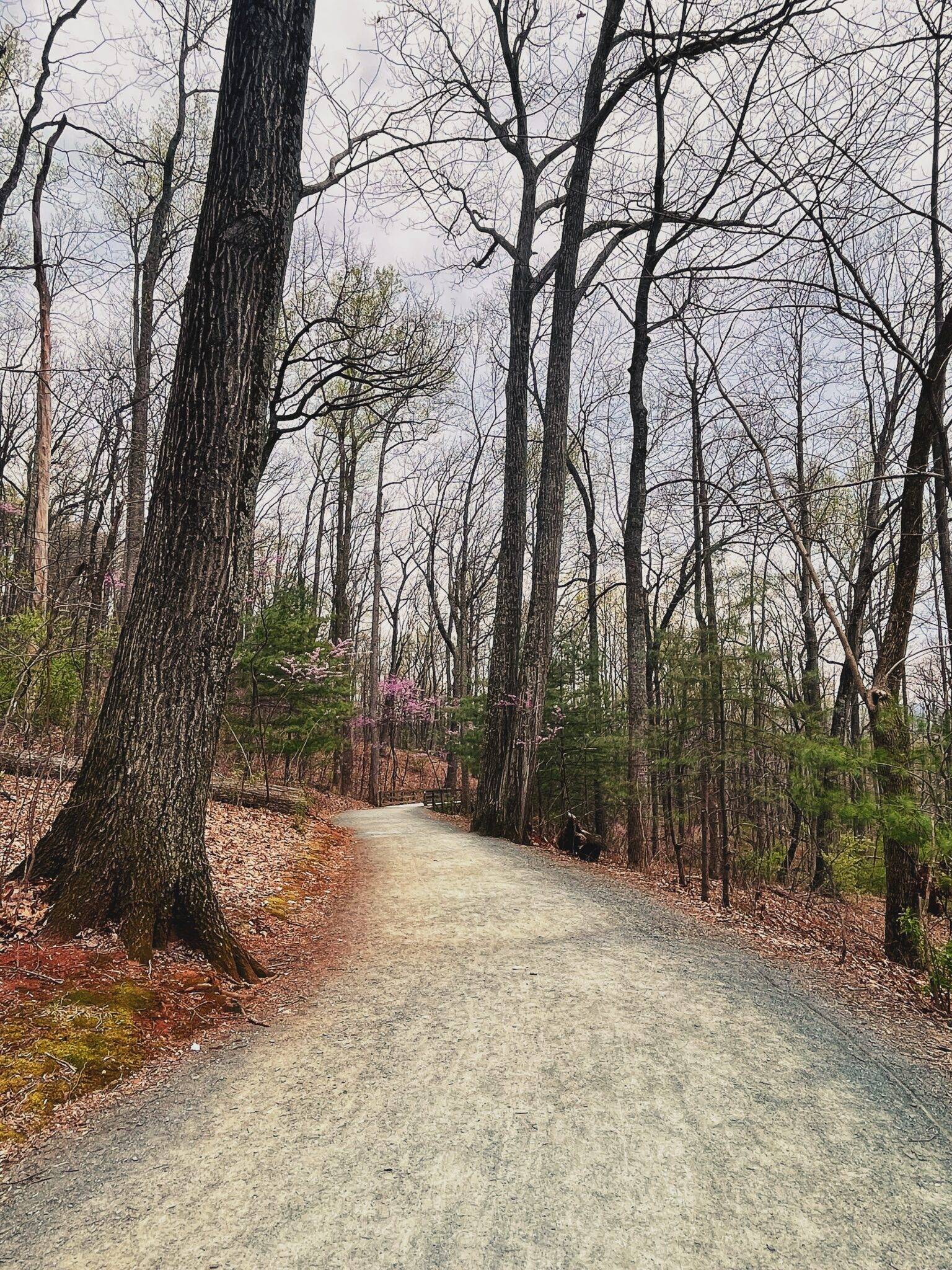 Greenways that I know: The Saunders-Monticello Trail - Triangle Blog Blog