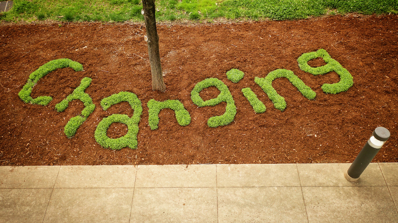 Floraffiti: Bringing Words to Life and Life to Words - Triangle Blog Blog