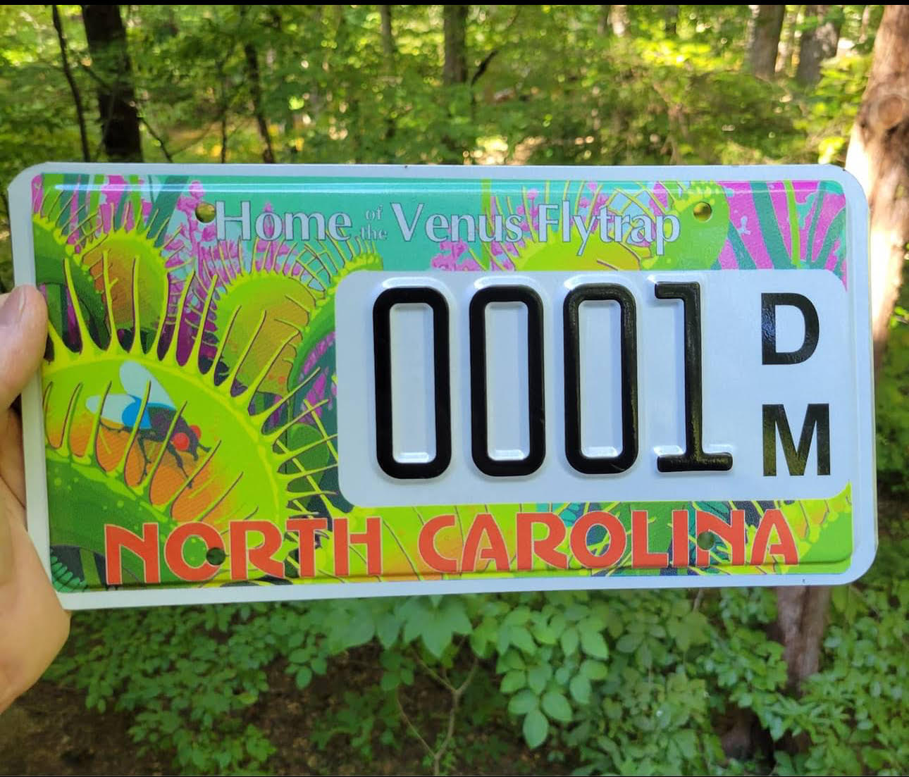 Exclusive: We interview the guy with the #1 Venus Flytrap License Plate ...