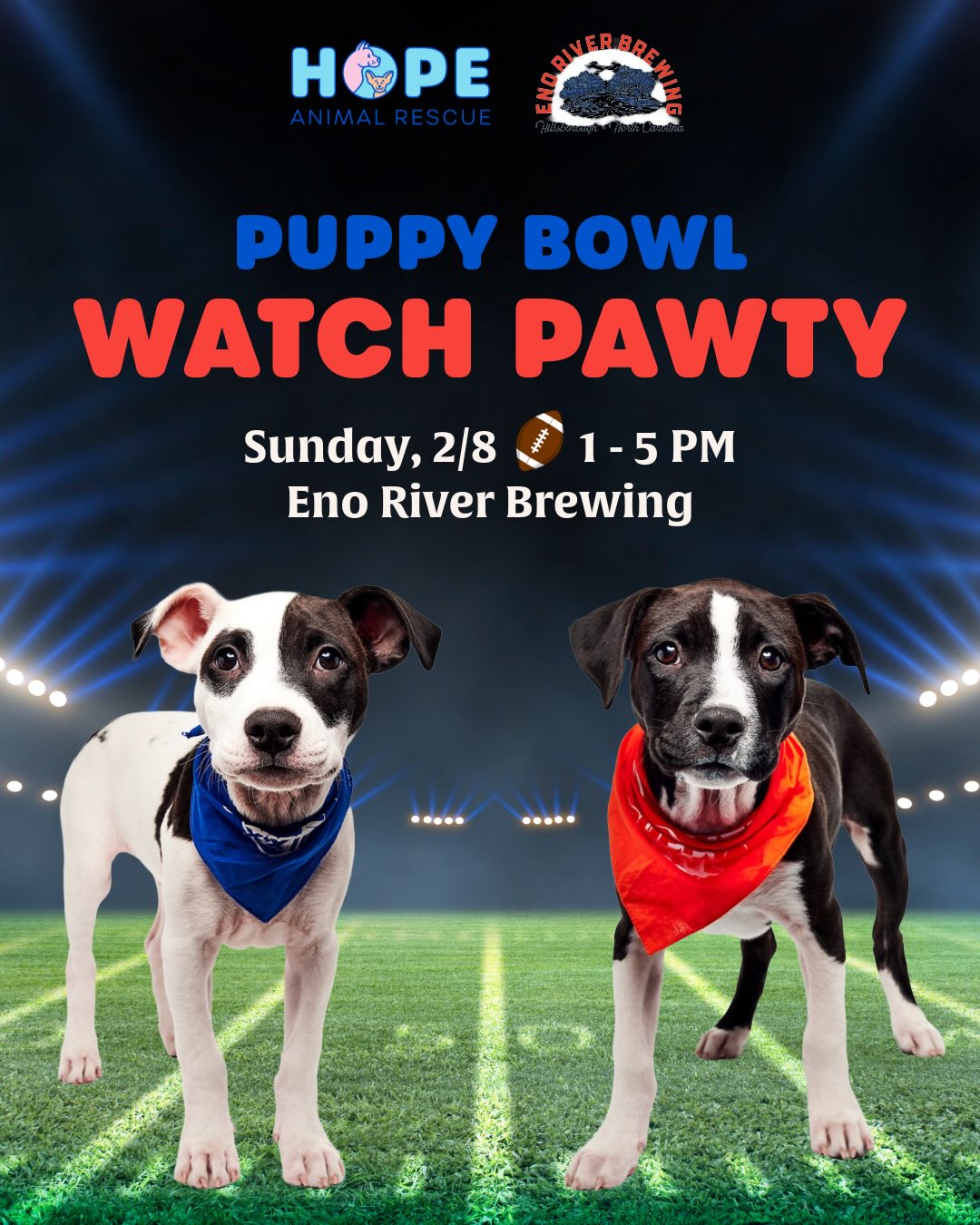 Two local rescue pups appearing in the 2026 Puppy Bowl - Triangle Blog Blog